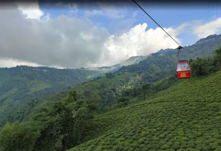 Don’t miss these 12 popular tourist attraction in Darjeeling!